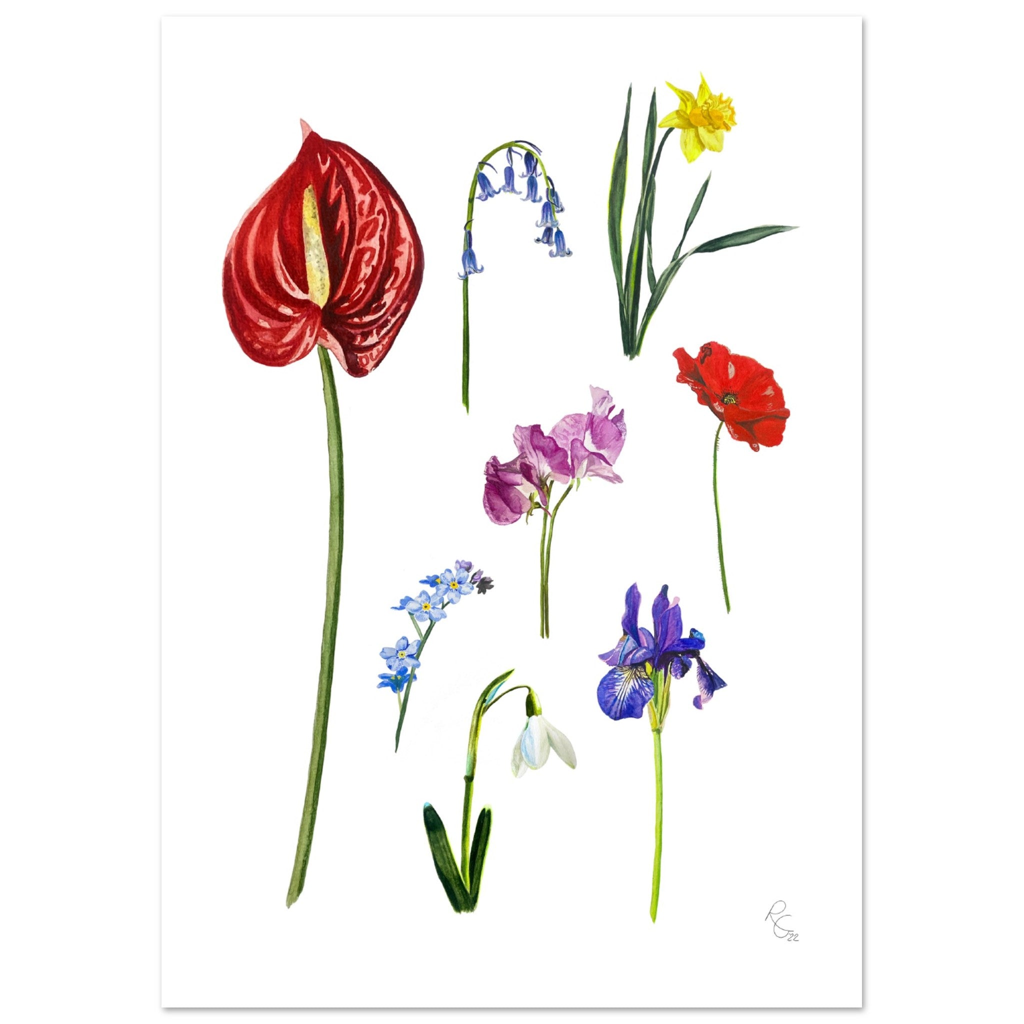 FLOWER COLLECTION – RUTH GALLAGHER DESIGNS